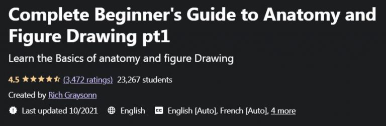 17 Best + Free Anatomy Art Courses 2024 [Updated] - Take This Course