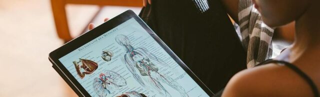 10 Best + Free Anatomy Courses with Certificates - Take This Course